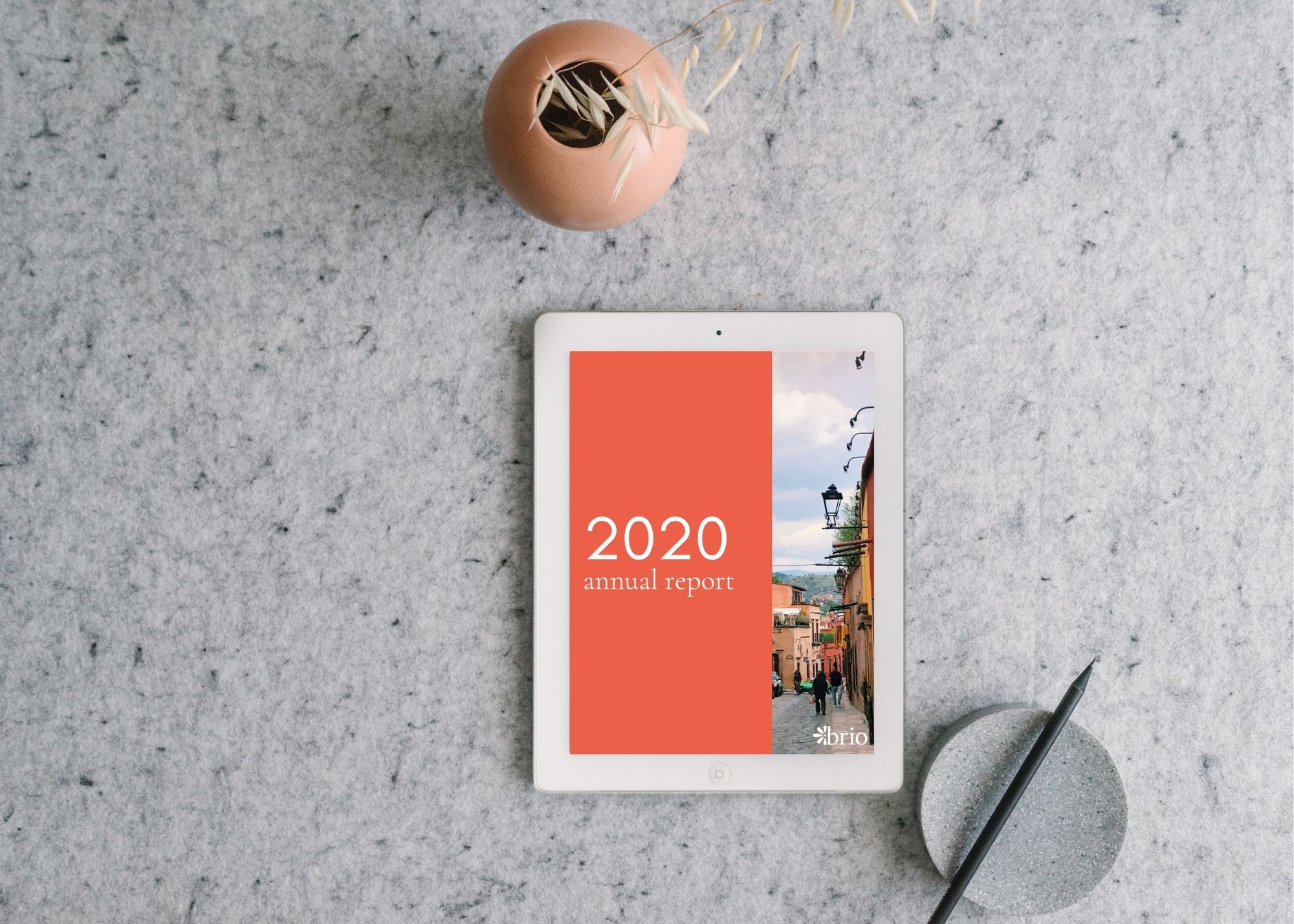 2020 Annual Report - Brio | Mental Health and wellbeing for everyone